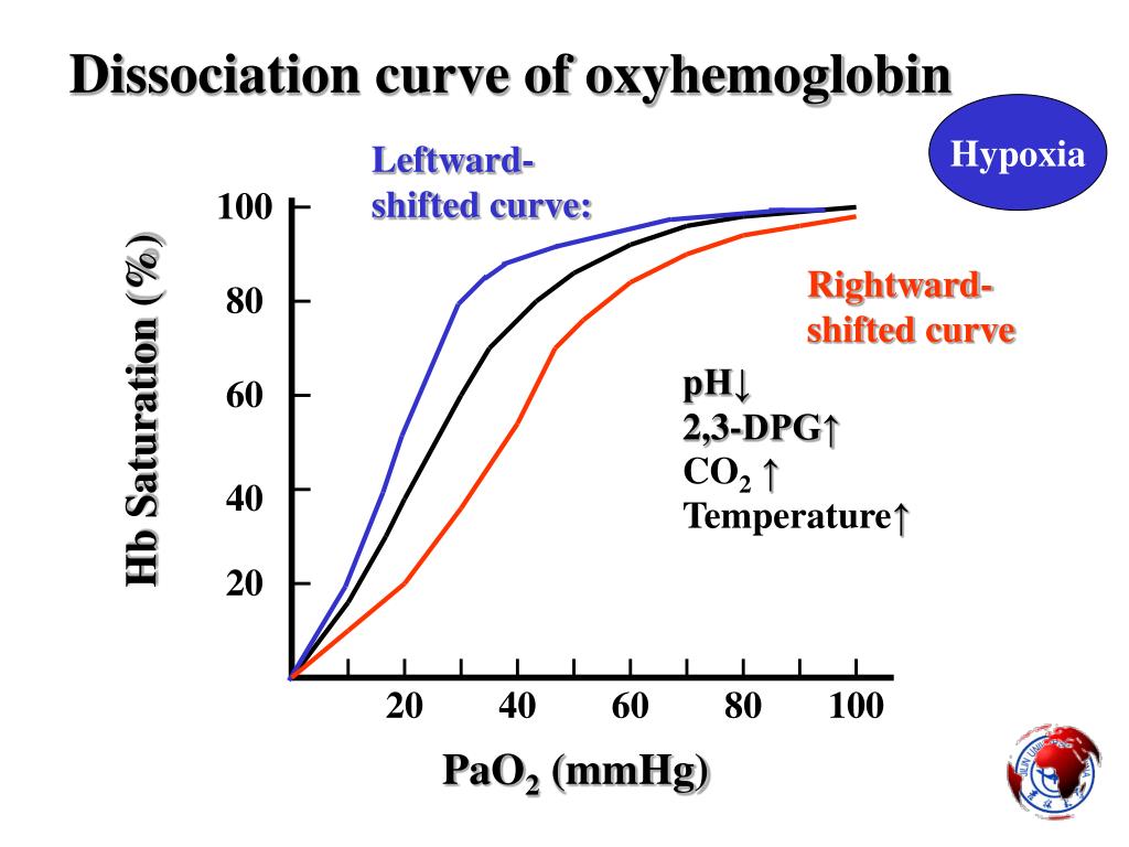 PPT - Hypoxia PowerPoint Presentation, free download - ID:3650172 PPT - Hypoxia PowerPoint Presentation, free download - ID:3650172