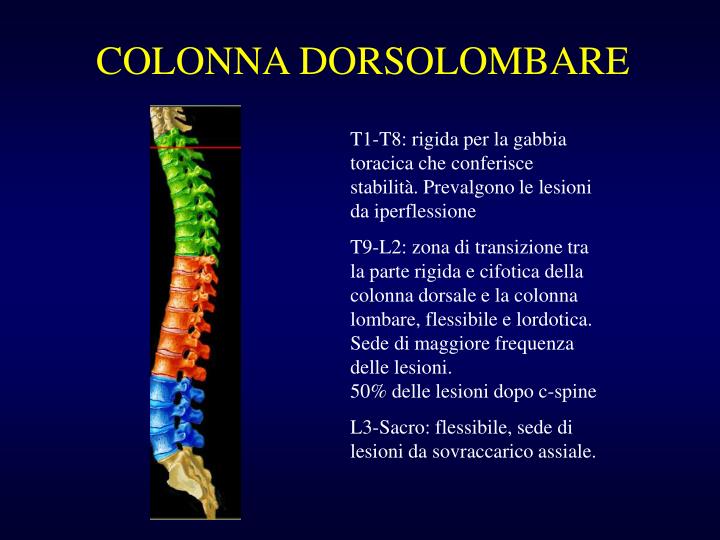 PPT - PATOLOGIA TRAUMATICA DELLA COLONNA VERTEBRALE PowerPoint ...