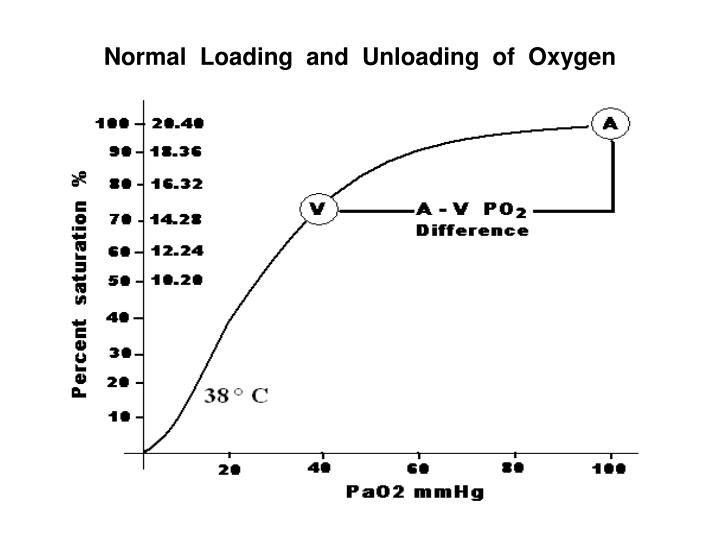 PPT - OXYGEN EQUILIBRIUM AND TRANSPORT PowerPoint Presentation - ID:3650872