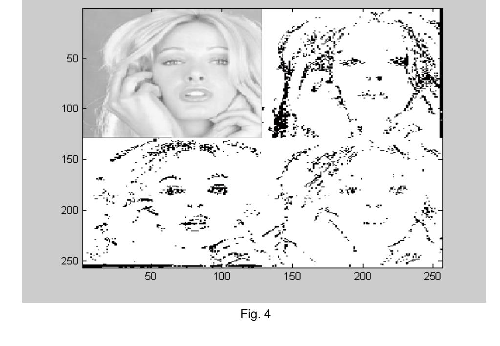 Ppt A New Method Of Robust Image Compression Based On Embedded Zerotree Wavelet Algorithm