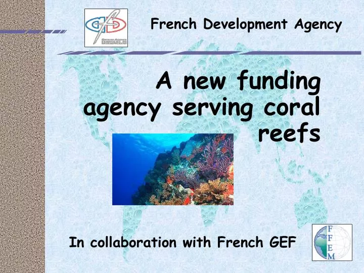 PPT - French Development Agency PowerPoint Presentation, free download ...