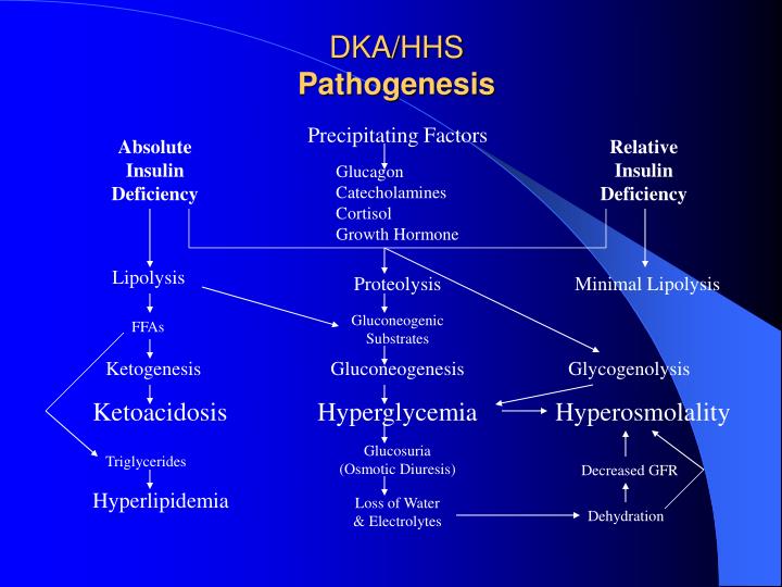 PPT - Diabetic Ketoacidosis (DKA) & Hyperglycemic Hyperosmolar State ...