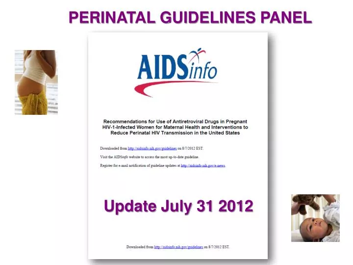 PPT - PERINATAL GUIDELINES PANEL PowerPoint Presentation, free download ...