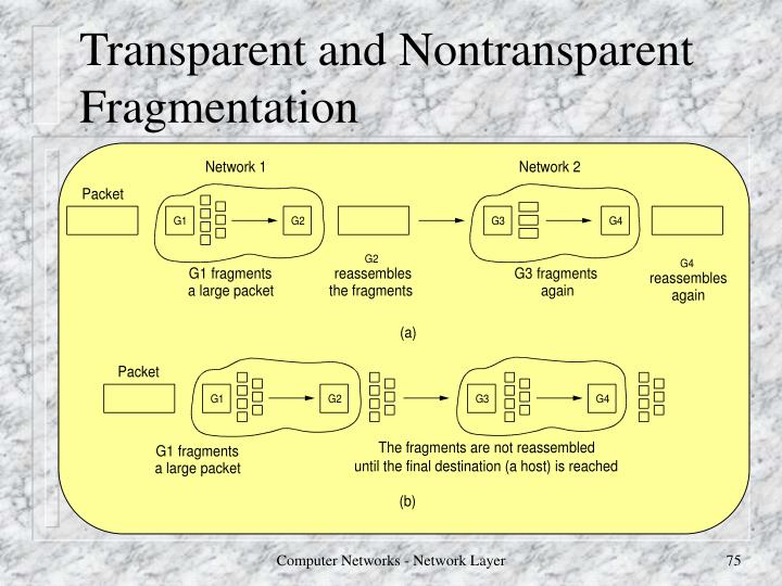 PPT - The Network Layer PowerPoint Presentation - ID:3653615