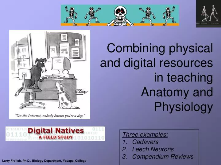 PPT - Combining physical and digital resources in teaching Anatomy and ...