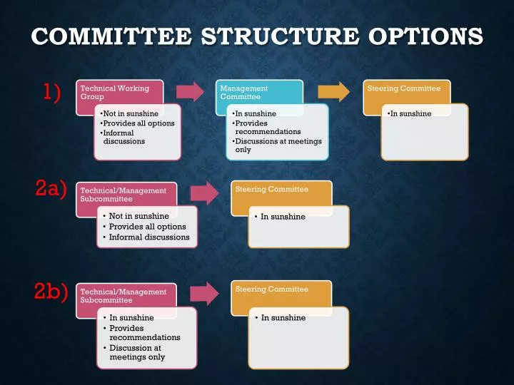PPT - Committee Structure Options PowerPoint Presentation, free ...