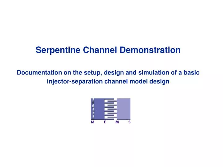 PPT - Serpentine Channel Demonstration Documentation on the setup ...