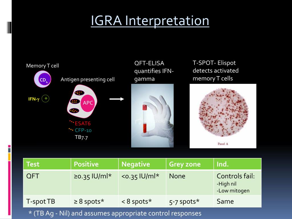 PPT - Mady Slater, M.D. Stanford University Medical Center Division of ...