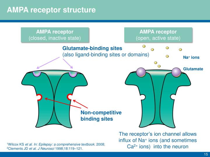 PPT - Mode of Action of Perampanel : a selective non-competitive AMPA ...