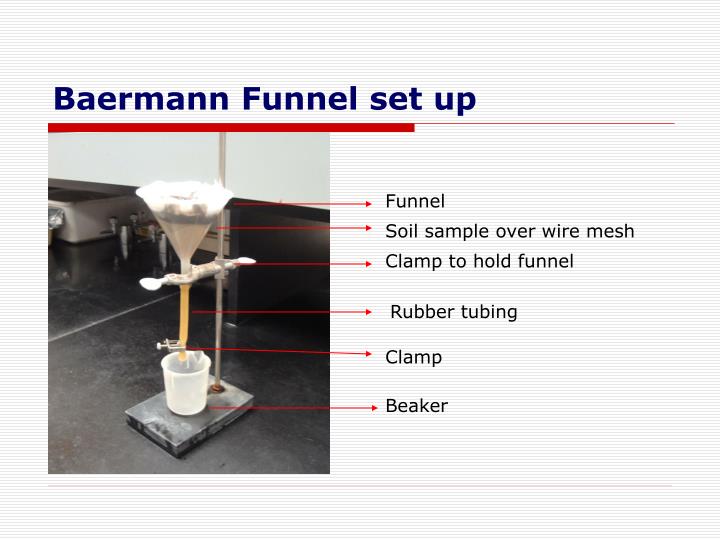 PPT - Nematode Extraction Methods: Baermann Funnel and Modified ...