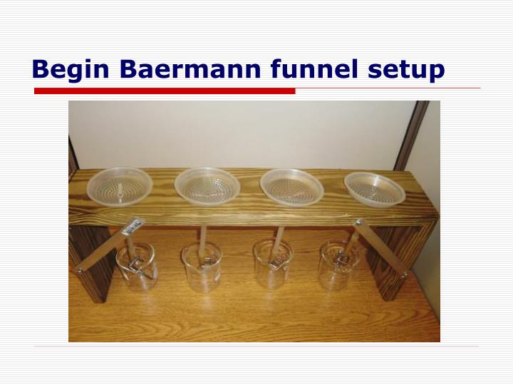 PPT - Nematode Extraction Methods: Baermann Funnel and Modified ...