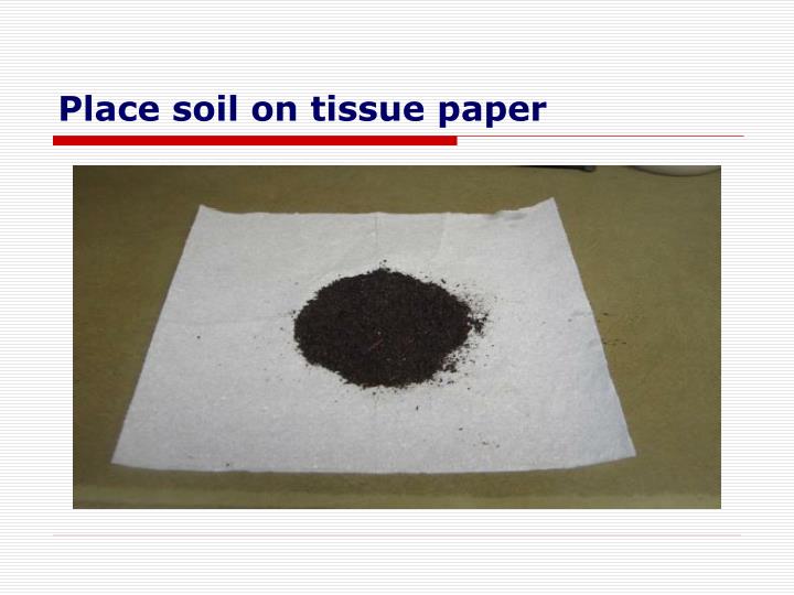 PPT - Nematode Extraction Methods: Baermann Funnel and Modified ...