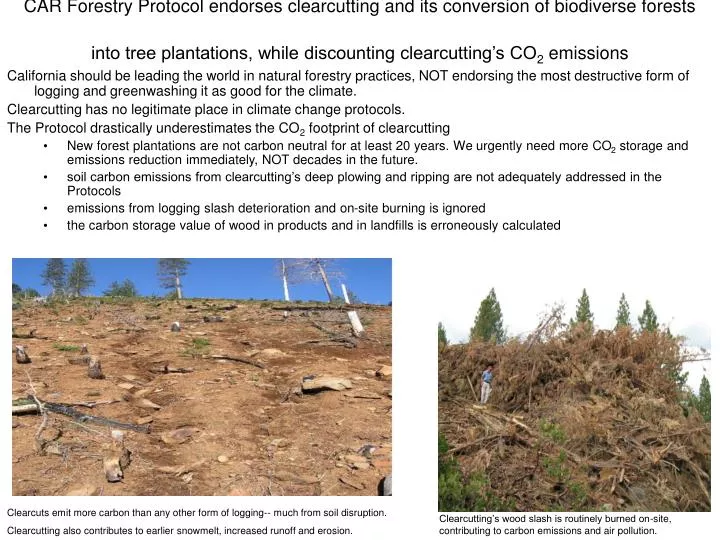 PPT - Clearcuts emit more carbon than any other form of logging-- much ...