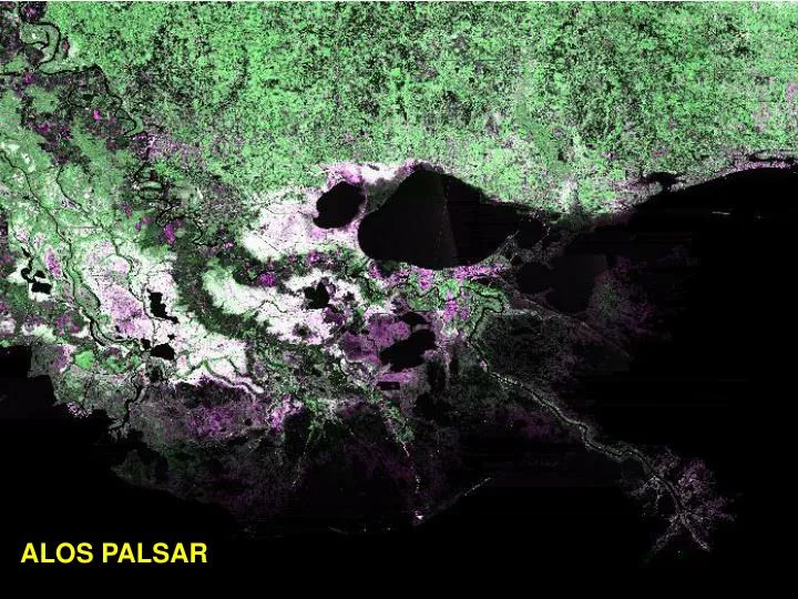 PPT - ALOS PALSAR PowerPoint Presentation, free download - ID:3661937
