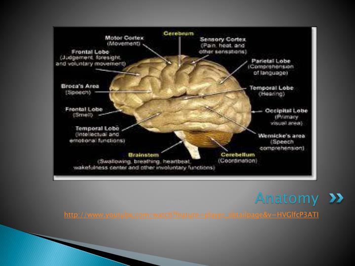 PPT - Altered Cerebral Function & Increased Intracranial Pressure ...