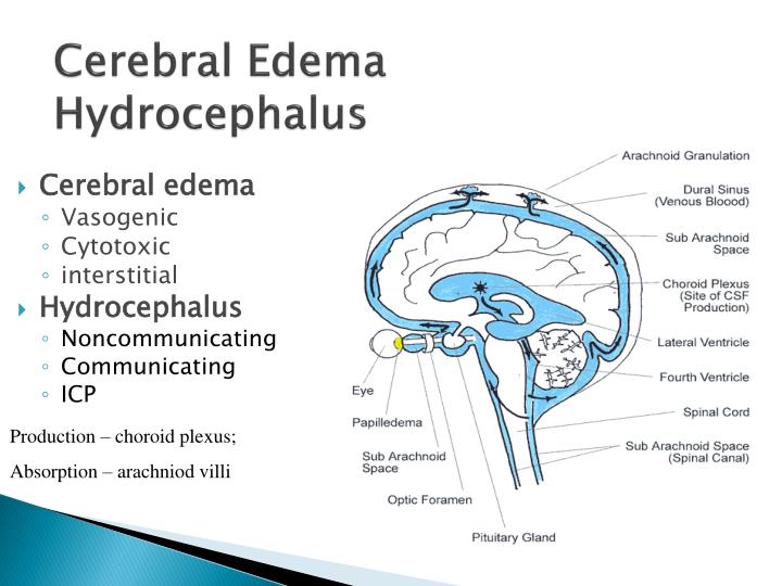 PPT - Altered Cerebral Function & Increased Intracranial Pressure ...