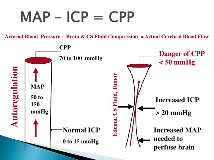 PPT - Altered Cerebral Function & Increased Intracranial Pressure PowerPoint Presentation - ID ...