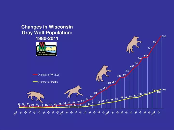 PPT - Changes in Wisconsin Gray Wolf Population: 1980-2011 PowerPoint ...