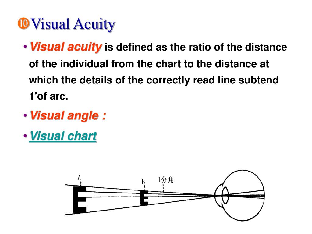PPT Function Of The Sense Organs PowerPoint Presentation Free PPT Function Of The Sense Organs PowerPoint Presentation Free