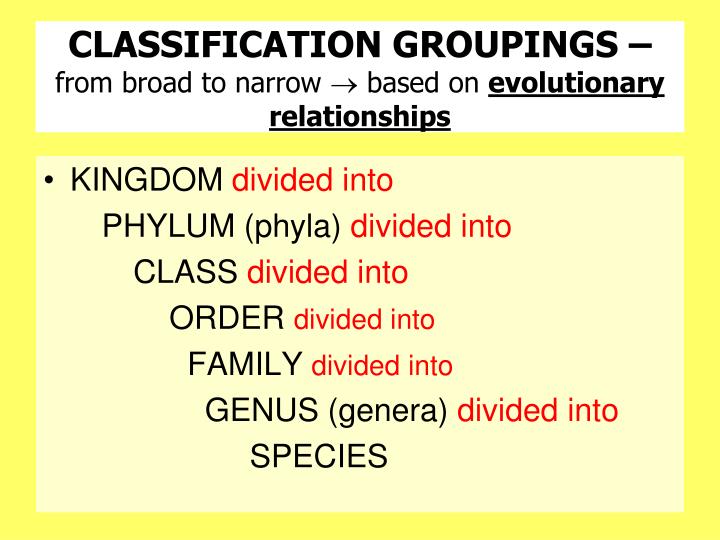 PPT - REVIEW MATCHING) 1. Zoology a. plants 2. Genetics b. animals 3 ...