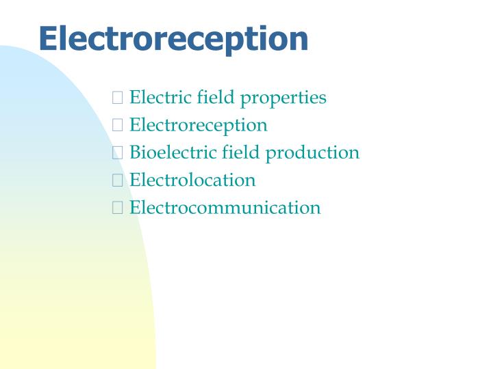 PPT - Electric fish PowerPoint Presentation - ID:3663827