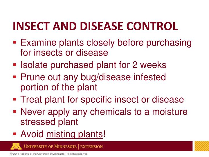 PPT - Houseplants PowerPoint Presentation - ID:3664394