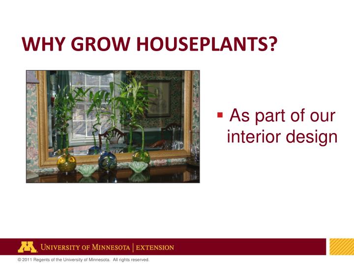 PPT - Houseplants PowerPoint Presentation - ID:3664394