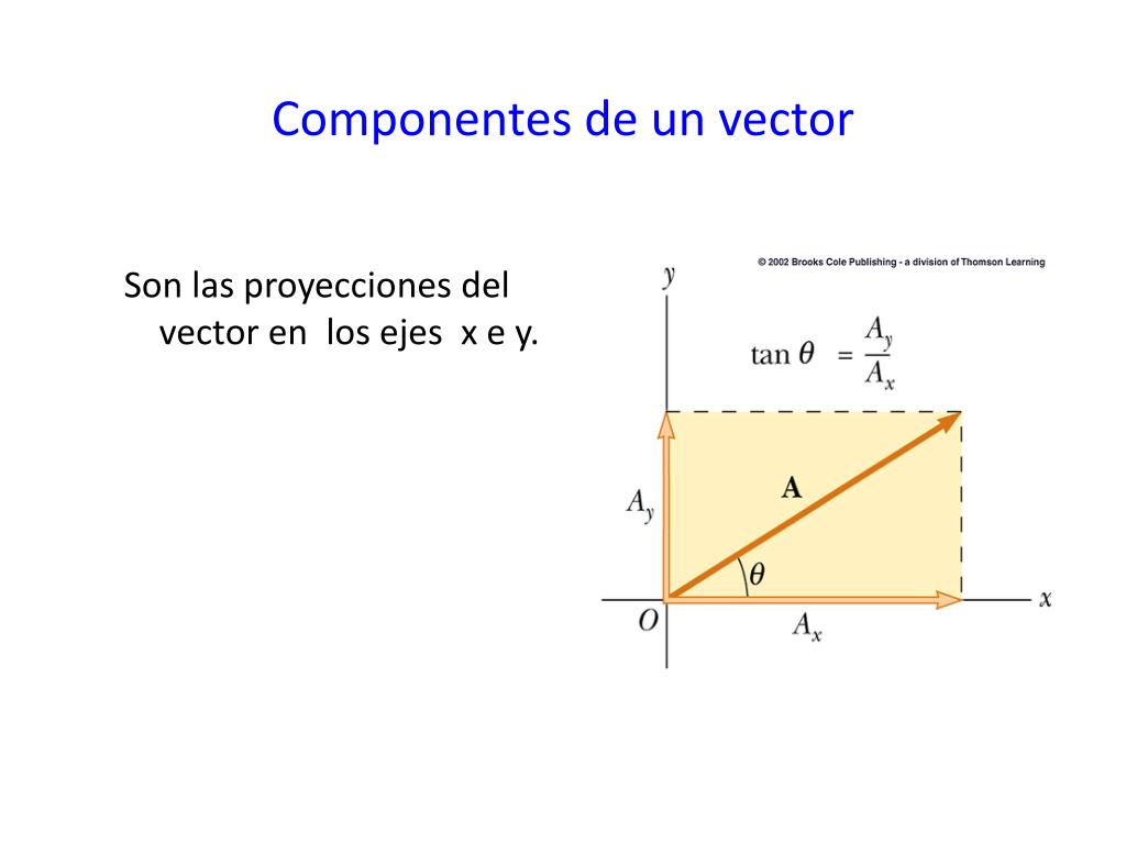 PPT - Unidad I. Cantidades fisicas y vectores PowerPoint Presentation ...