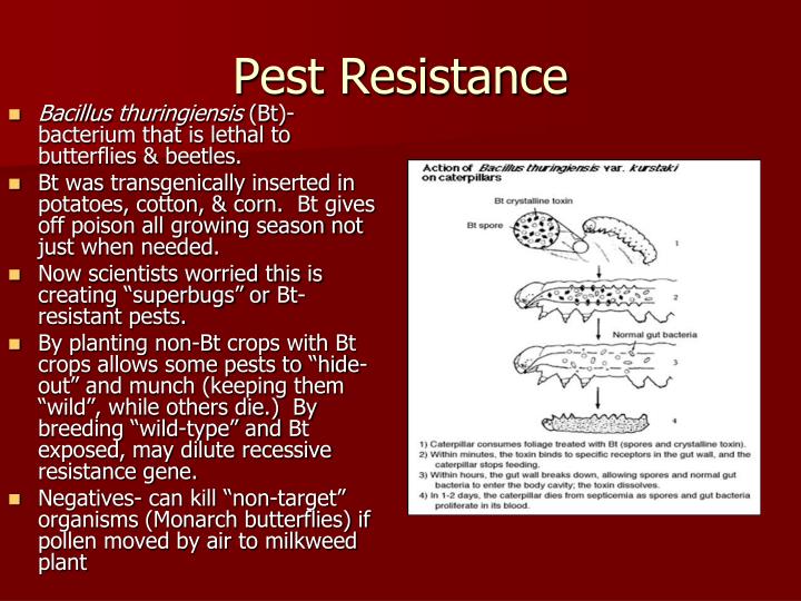 PPT - Food & Agriculture PowerPoint Presentation - ID:3665132
