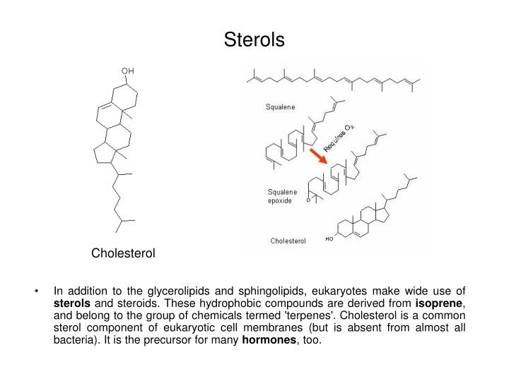 PPT - Lipids and membranes PowerPoint Presentation - ID:3665322