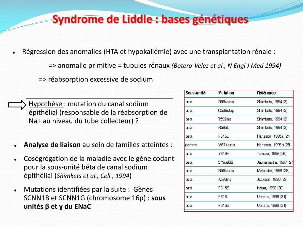 PPT - Syndrome de Liddle et canal sodium épithélial ( ENaC ) PowerPoint ...