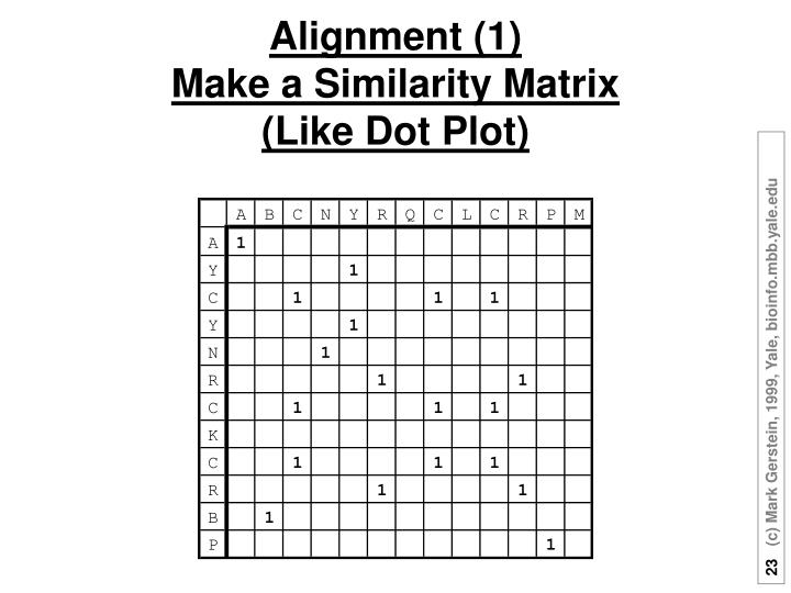 PPT - BIOINFORMATICS Structures PowerPoint Presentation - ID:3665911