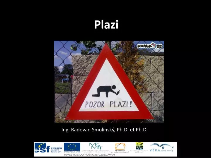 PPT - Plazi PowerPoint Presentation, free download - ID:3666347