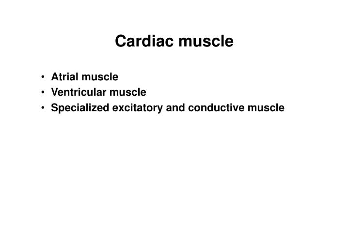 PPT - General Properties of Cardiac Muscle PowerPoint Presentation - ID ...