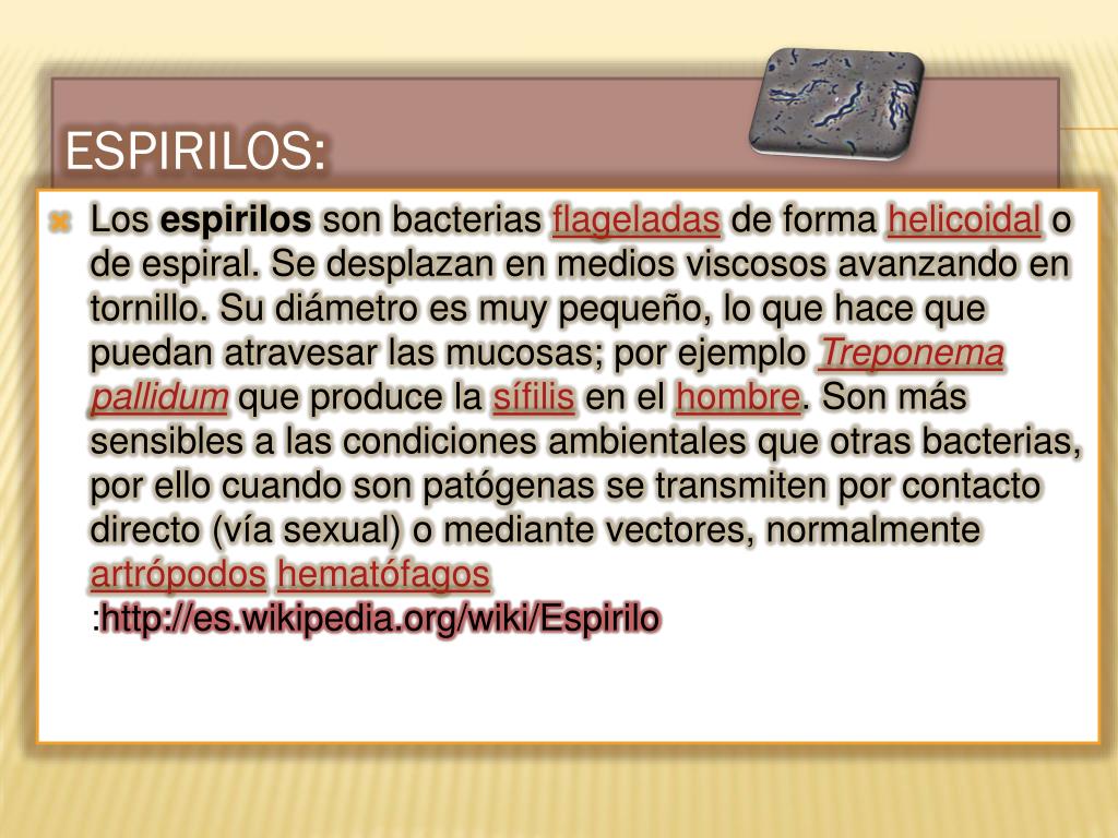 PPT - Endermedades de interés microbiológico de características del ...