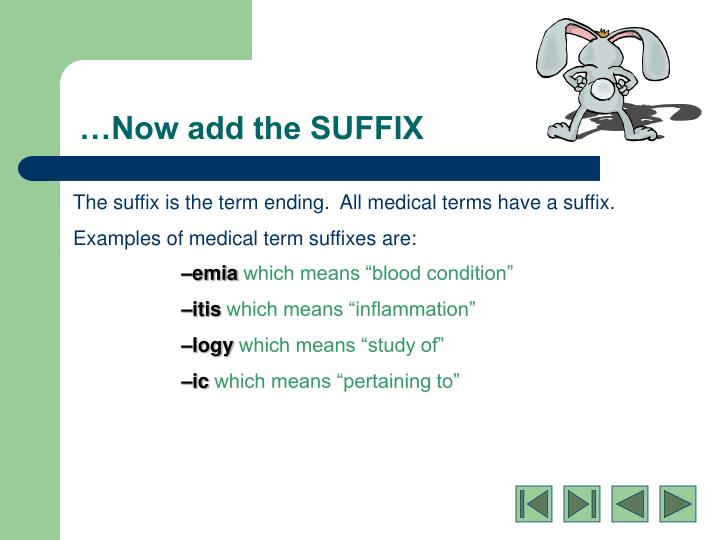 PPT - Medical Terminology: Basic Word Structure PowerPoint Presentation ...