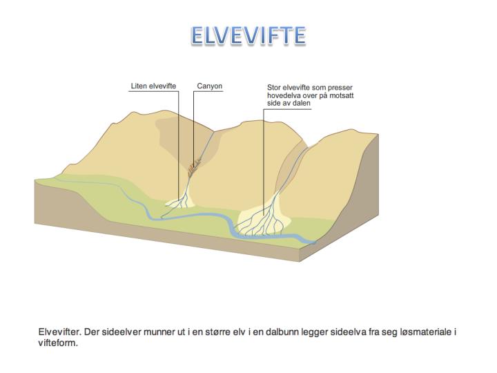 PPT - ELVA ARBEIDER PowerPoint Presentation - ID:3667832