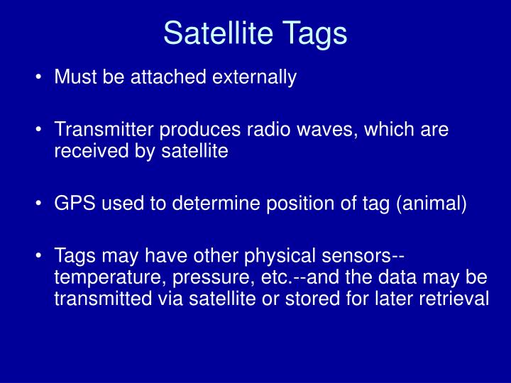 PPT - Electronic Tagging of Marine Animals PowerPoint Presentation - ID ...