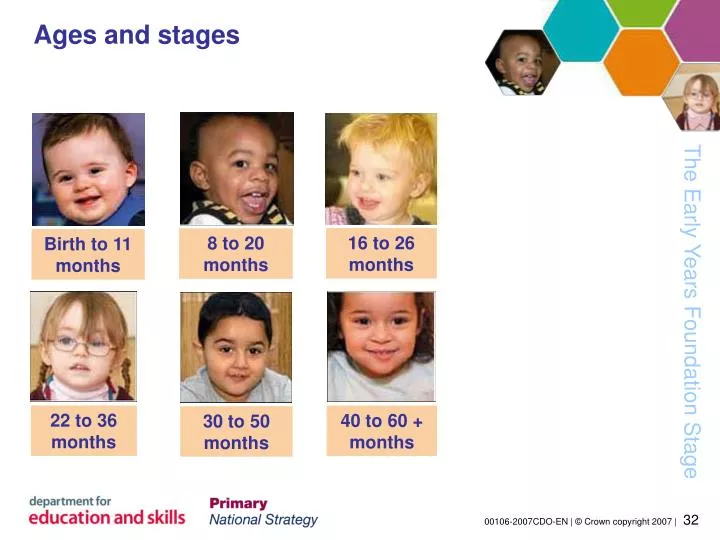 PPT - Ages and stages PowerPoint Presentation, free download - ID:3670026