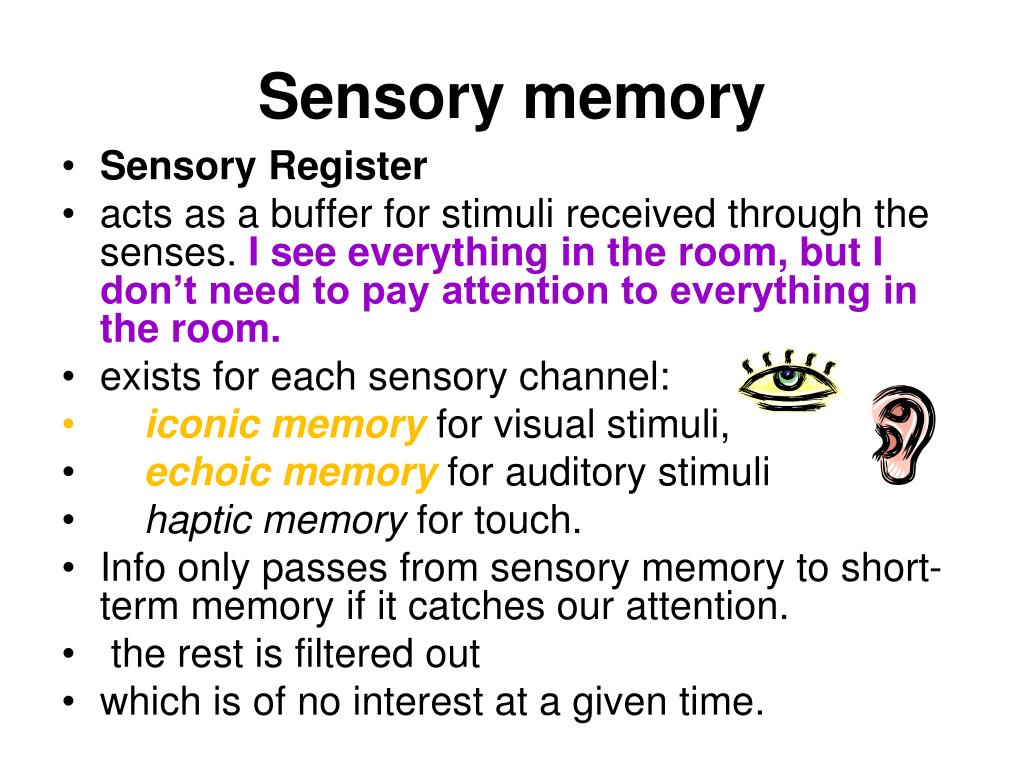 PPT MEMORY PowerPoint Presentation Free Download ID 3670480 PPT MEMORY PowerPoint Presentation Free Download ID 3670480