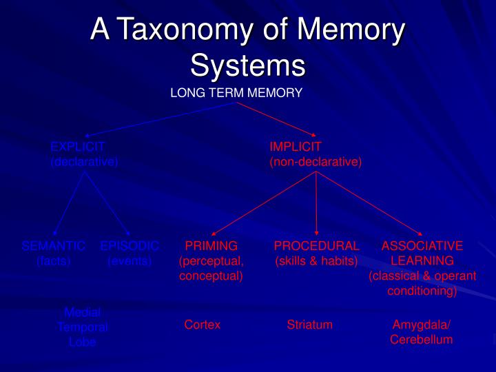 PPT - Some provocative questions PowerPoint Presentation - ID:3670617