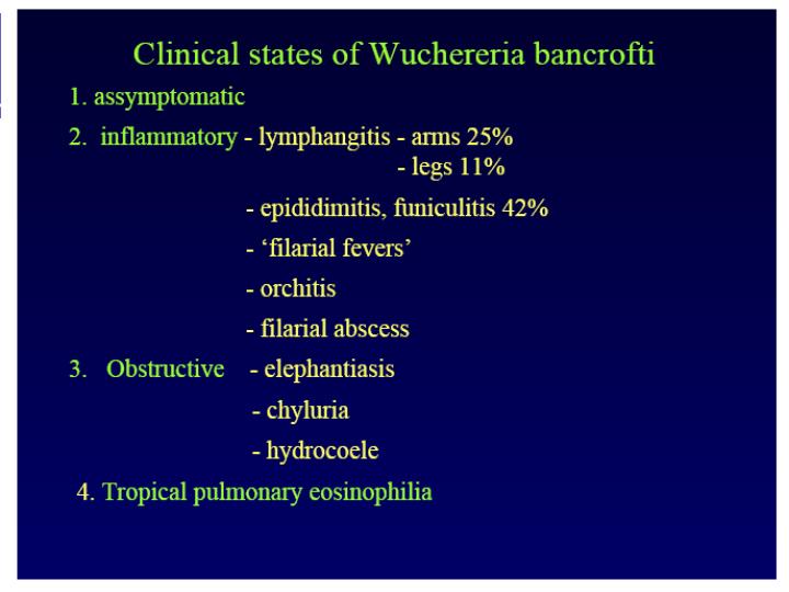 PPT - Tissue Nematodes PowerPoint Presentation - ID:3671056