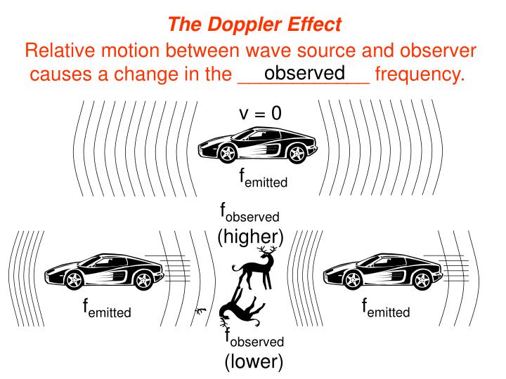PPT - Velocity PowerPoint Presentation - ID:3671121