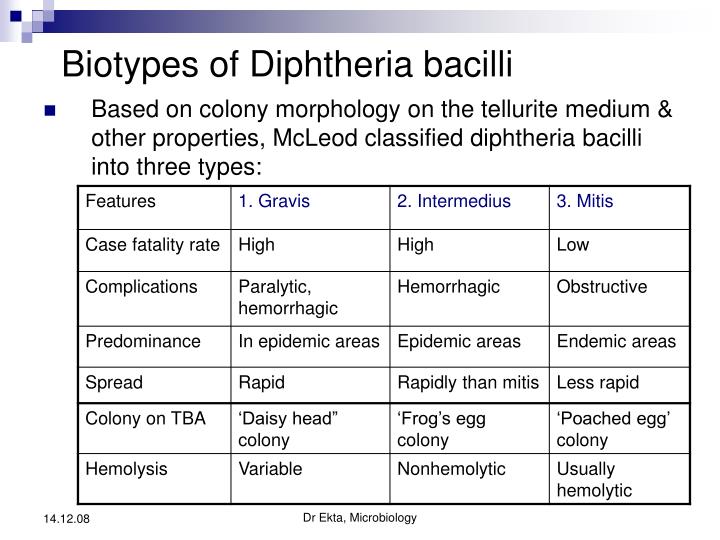 PPT - Corynebacteria PowerPoint Presentation - ID:3672797