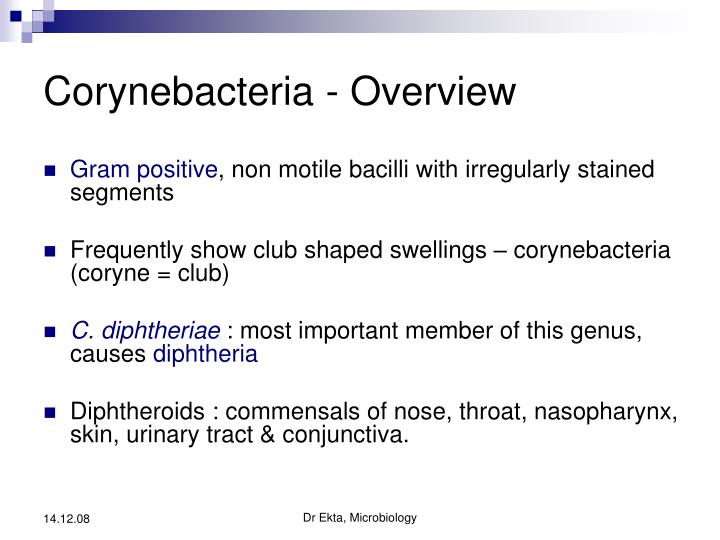 PPT - Corynebacteria PowerPoint Presentation - ID:3672797