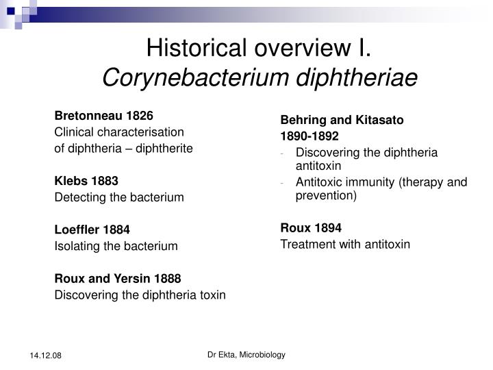 PPT - Corynebacteria PowerPoint Presentation - ID:3672797