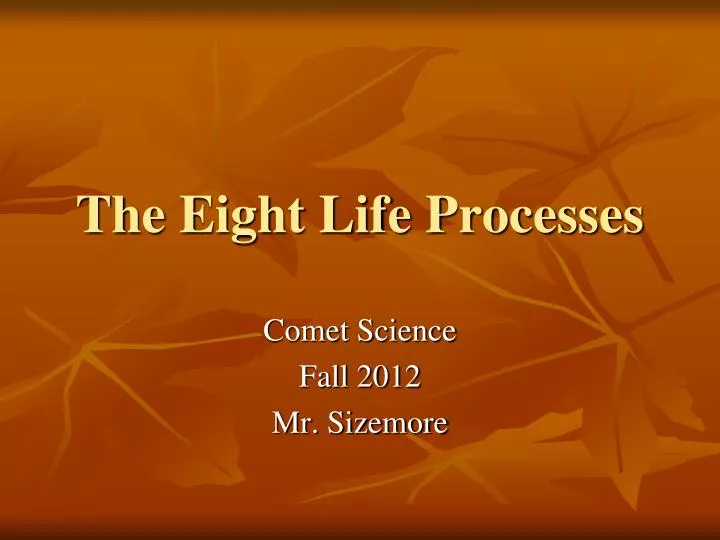 PPT - The Eight Life Processes PowerPoint Presentation, free download ...