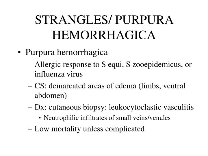 PPT - LAM RESPIRATORY DISEASES PowerPoint Presentation - ID:3676793