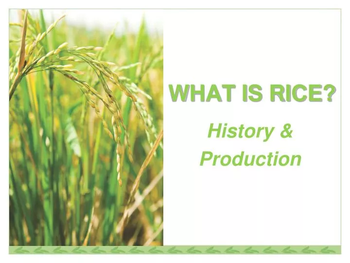 PPT - WHAT IS RICE? PowerPoint Presentation, free download - ID:3677870