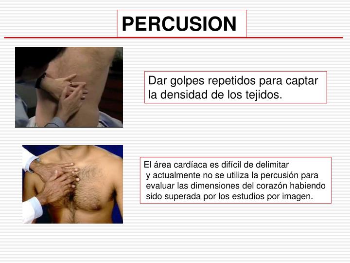 PPT - EXPLORACION CARDIOVASCULAR PowerPoint Presentation - ID:3678245